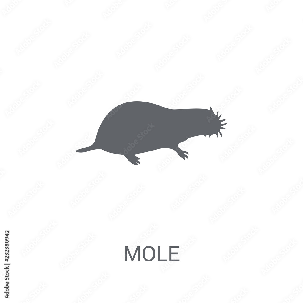 Mole icon. Trendy Mole logo concept on white background from animals ...