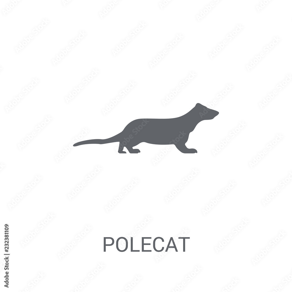 Polecat icon. Trendy Polecat logo concept on white background from ...