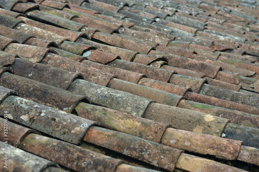 Poster moldy roof tiles texture – Wall Art | UkPosters