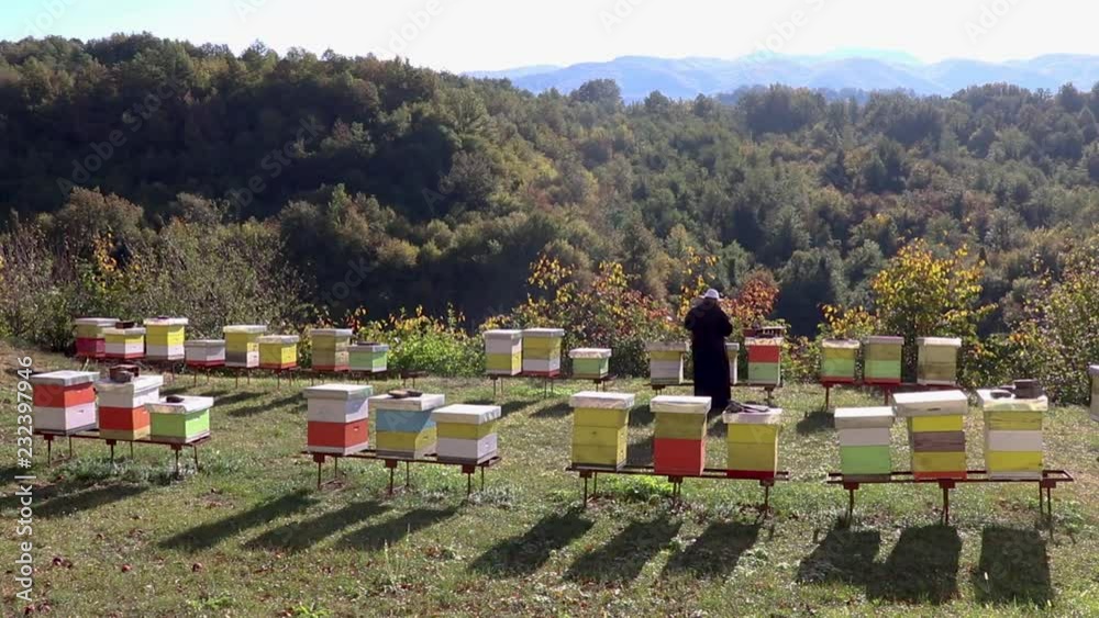 Video Stock Beekeeper monk collecting honey in apiary in the mountains ...