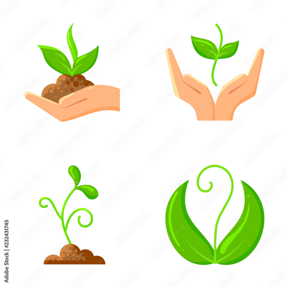Seed Sprout Vector