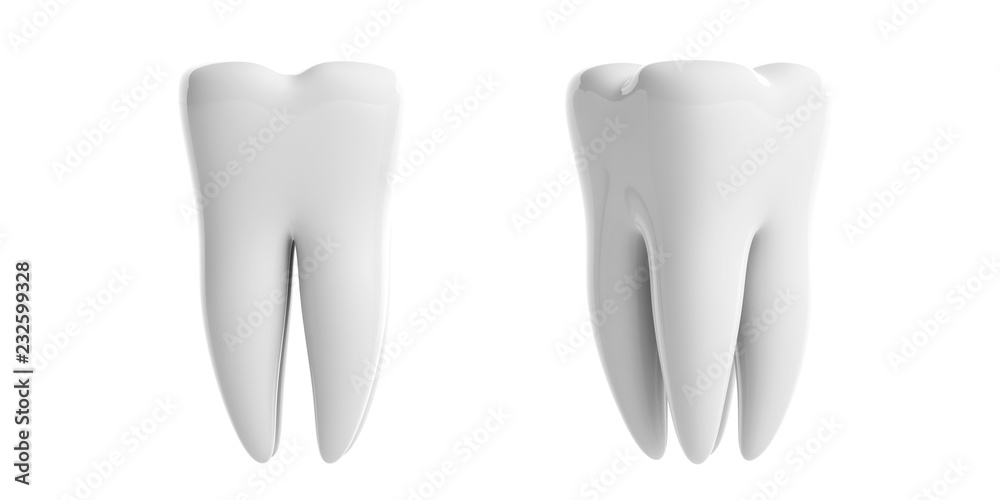Clean shiny teeth isolated cutout on white background. 3d illustration ...