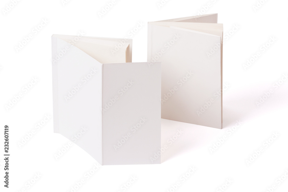 Double blank leaf in the front or the back of a book. Mock-up for ...