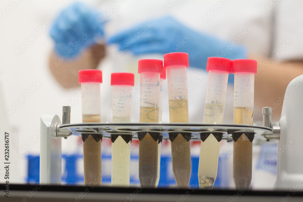 Laboratory testing Stock Photo | Adobe Stock