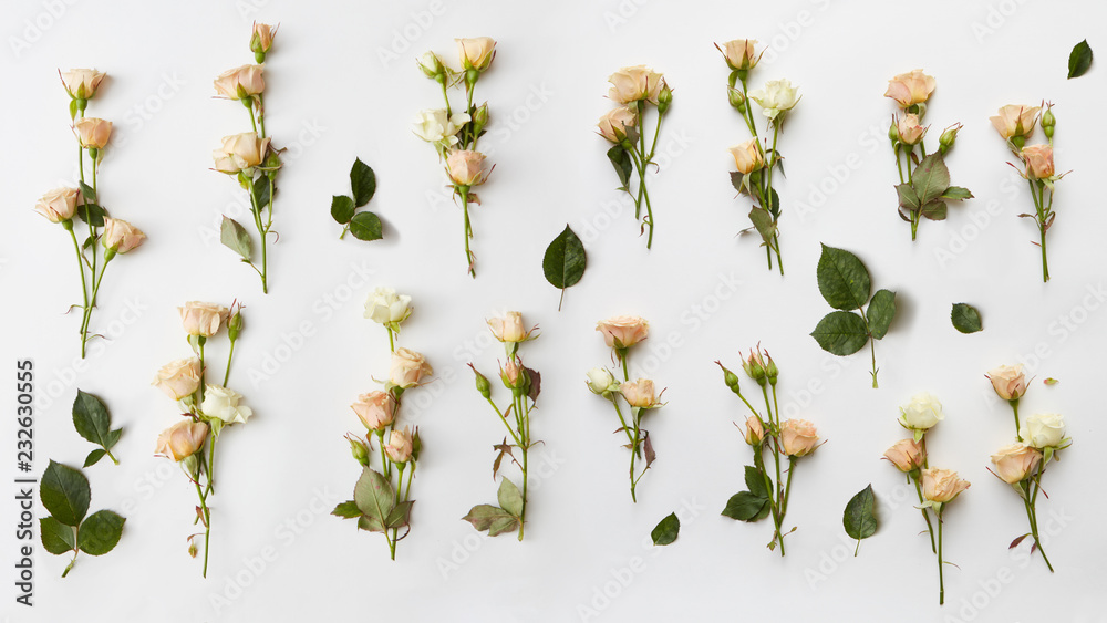 background pattern of beige roses Stock Photo | Adobe Stock