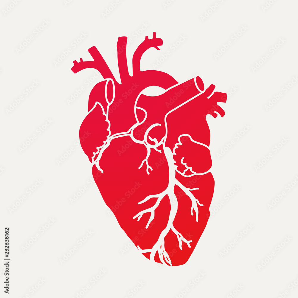 Human Heart Silhouette