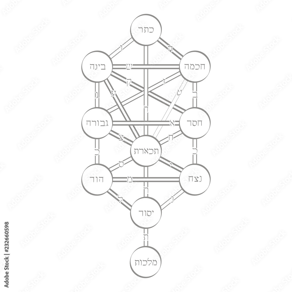 vector icon with tree of life Kabbalah symbol for your design Stock ...