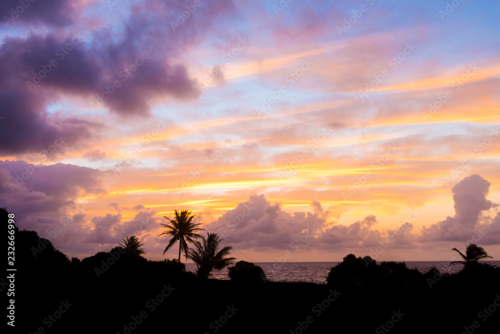 Hawaii Sunset Purple