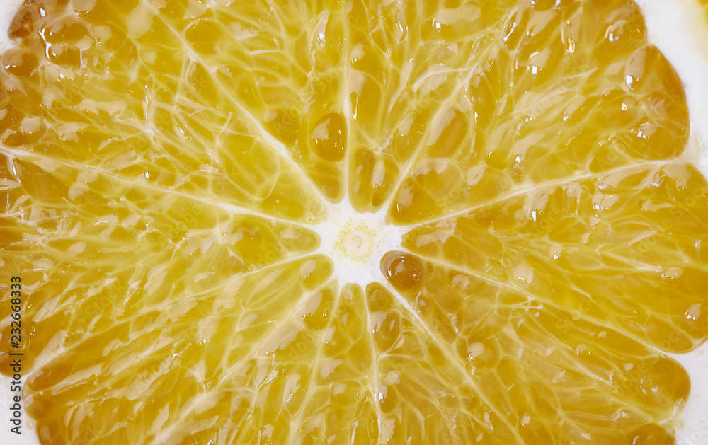 Cross section view of an Orange Stock Photo | Adobe Stock