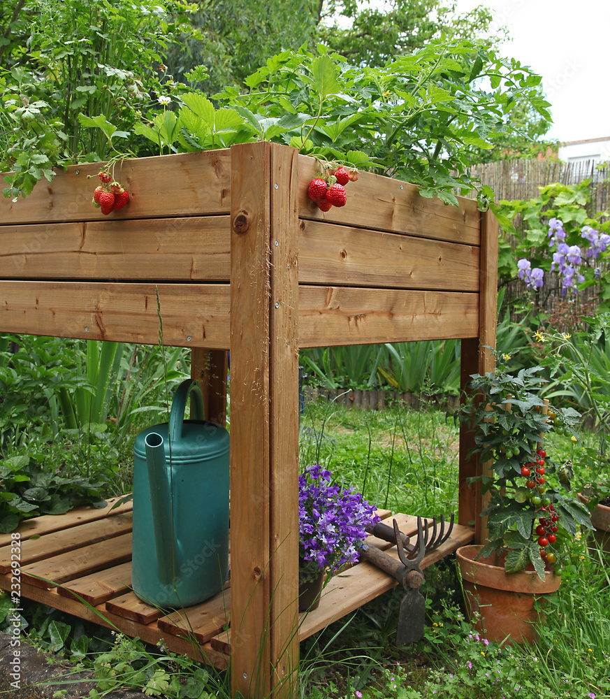 Carré potager Stock Photo | Adobe Stock