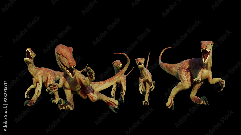 velociraptor pack, hunting theropod dinosaurs, 3d illustration isolated ...