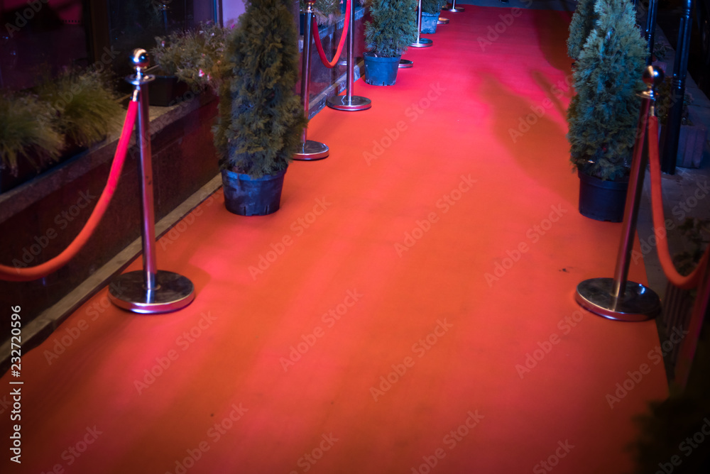red carpet is traditionally used to mark the route taken by heads of ...