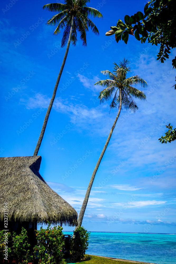 A thatched-roof resort bungalow and palm tree overlook the clear ...