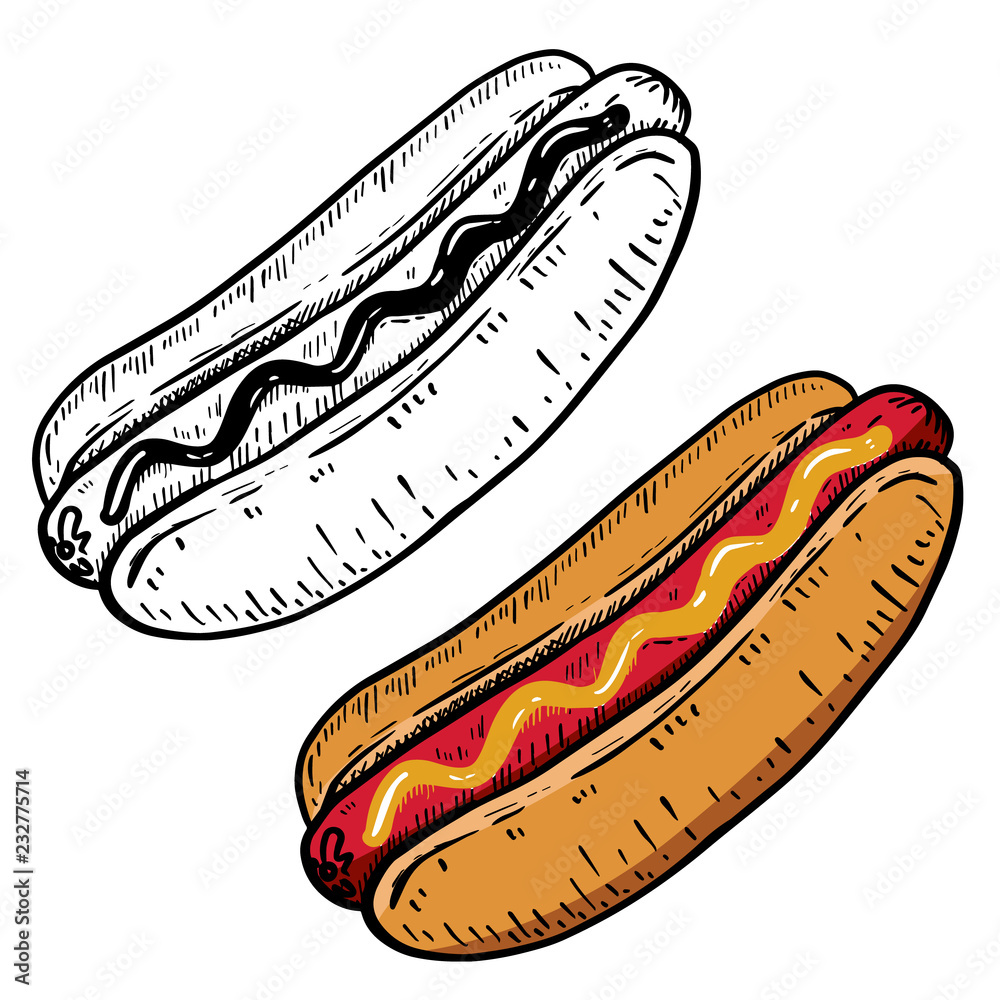 Hand drawn hot dog illustration. Design element for menu, poster, card ...