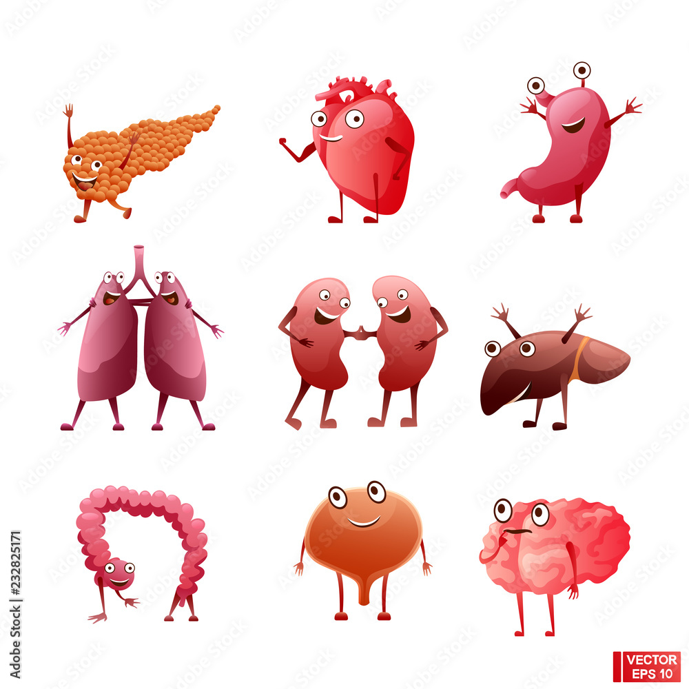 set of cartoon characters organs. Stock Vector | Adobe Stock
