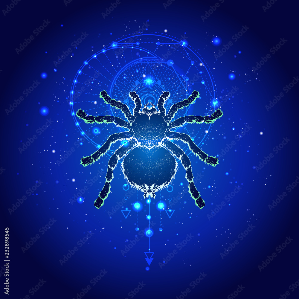 Vector illustration with hand drawn spider tarantula and Sacred ...