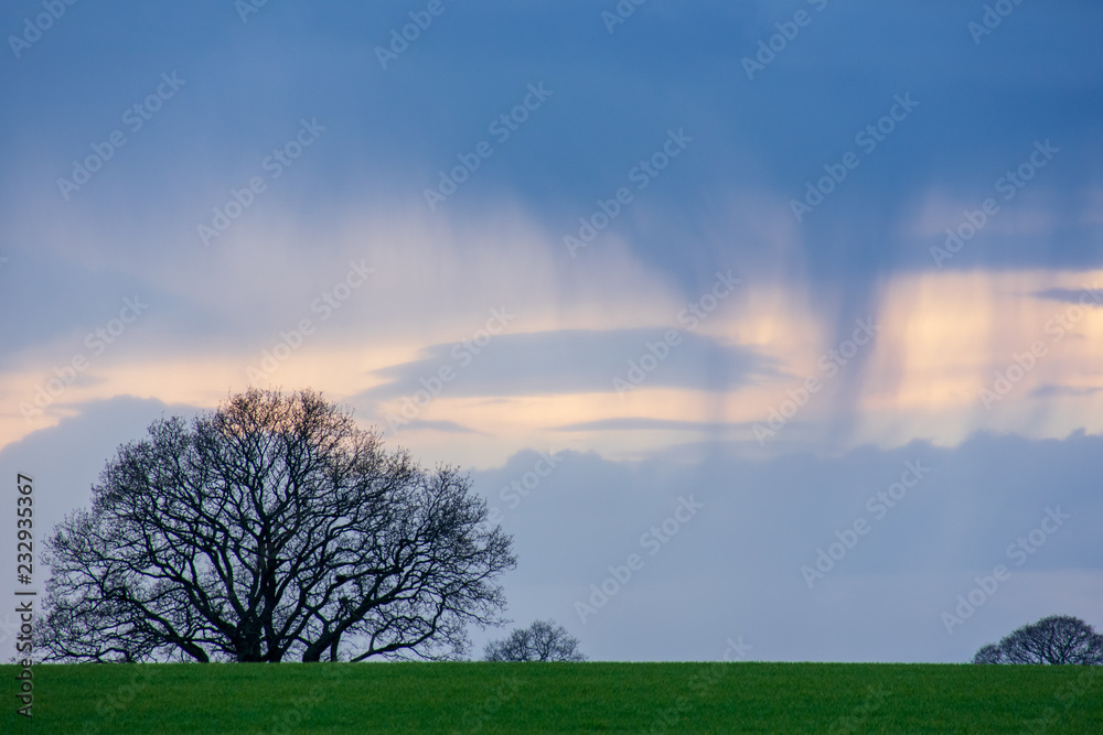 Rain Falling From Clouds
