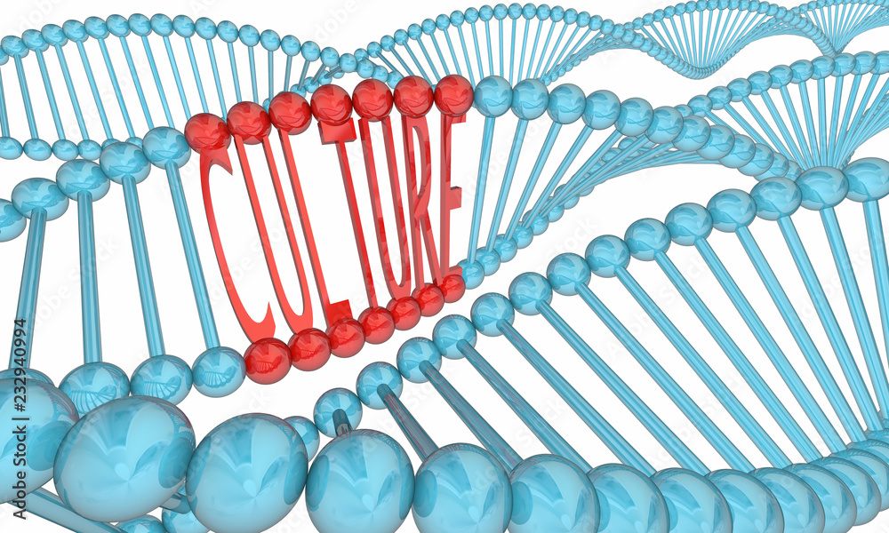 Culture DNA Strands Heritage Ancestry 3d Illustration Stock Photo ...