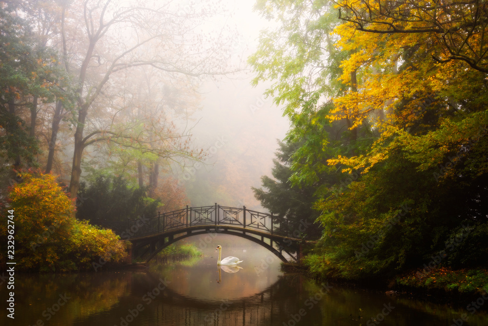 Scenic view of misty autumn landscape with beautiful old bridge in the ...