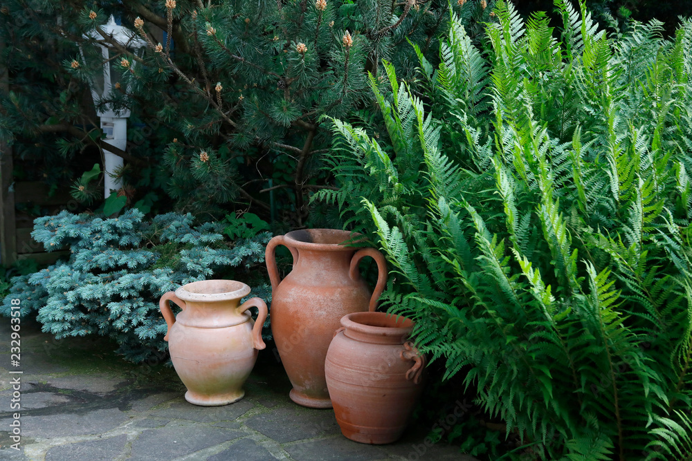 Terrakotta Krüge und Farne im Garten Stock Photo | Adobe Stock
