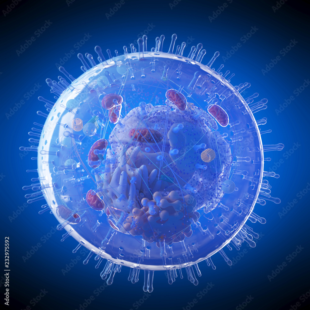 3d rendered medically accurate illustration of a human cell Stock ...