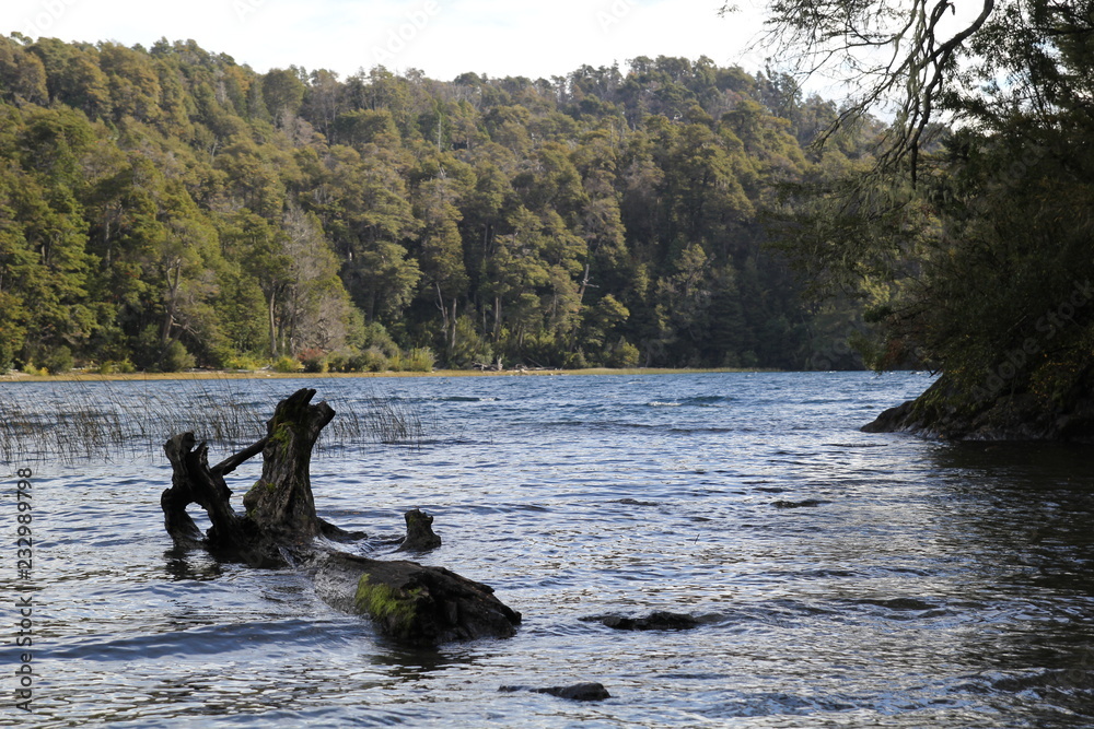 Lago Traful, Villa Traful, Neuquen, Patagonia Argentina Stock Photo ...