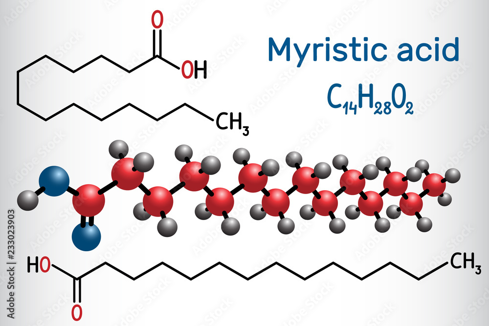 Myristic (tetradecanoic) acid molecule. It is saturated fatty acid ...