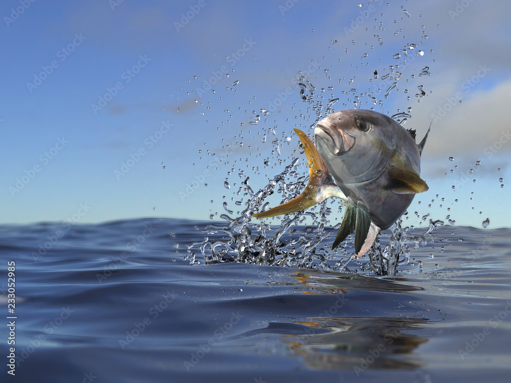 Yellowtail amberjack fish top of ocean surface 3d render Stock ...
