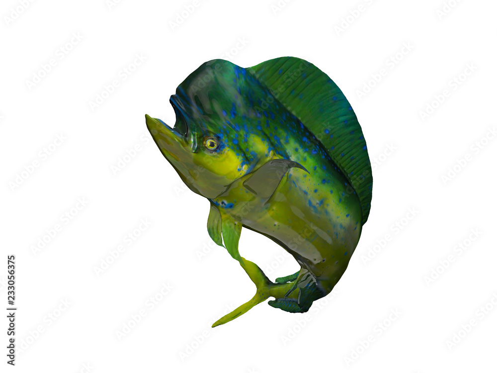 Mahi Mahi dolphinfish 3d render isolated background Stock Photo | Adobe ...