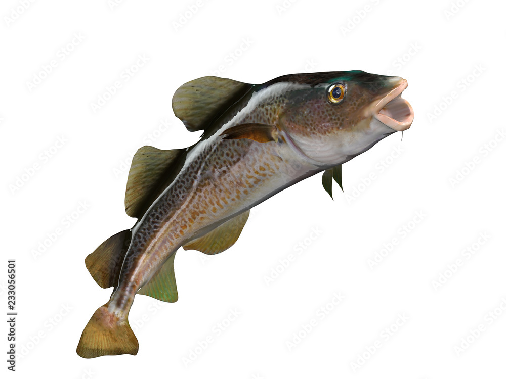 Big mouth cod fish upwards pose 3d render isolated Stock Illustration ...