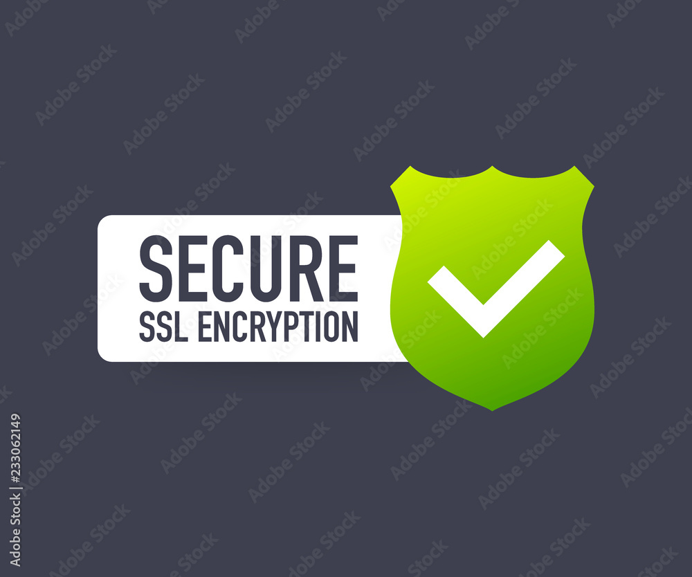 Secure connection icon vector illustration isolated on white background ...