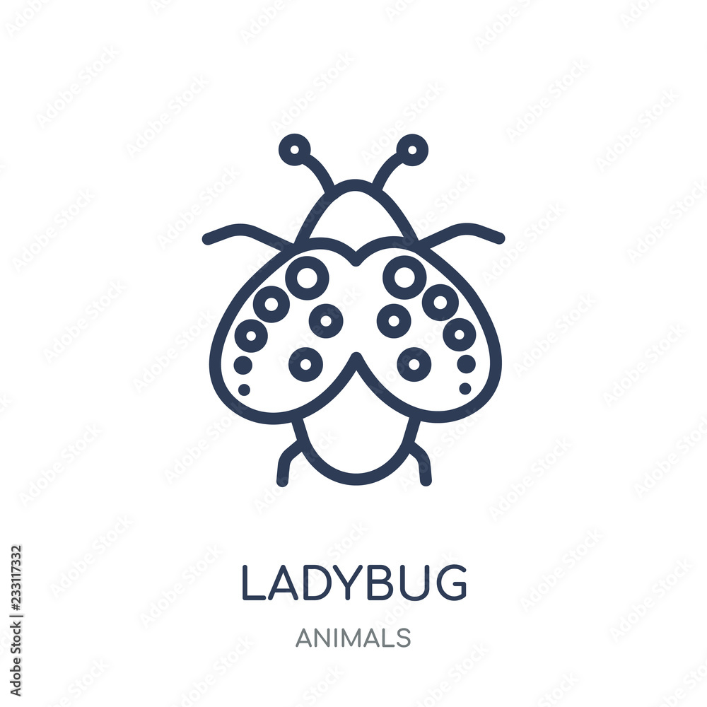Ladybug icon. Ladybug linear symbol design from Animals collection ...