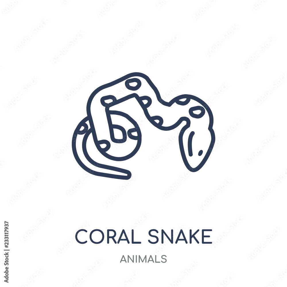 coral snake icon. coral snake linear symbol design from Animals ...