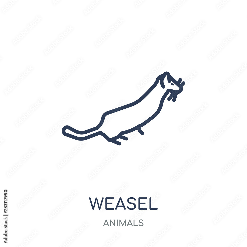 weasel icon. weasel linear symbol design from Animals collection. Stock ...