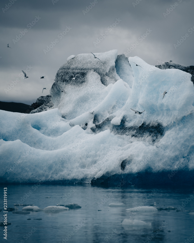 Birds flying around giant glacier ice Stock Photo | Adobe Stock
