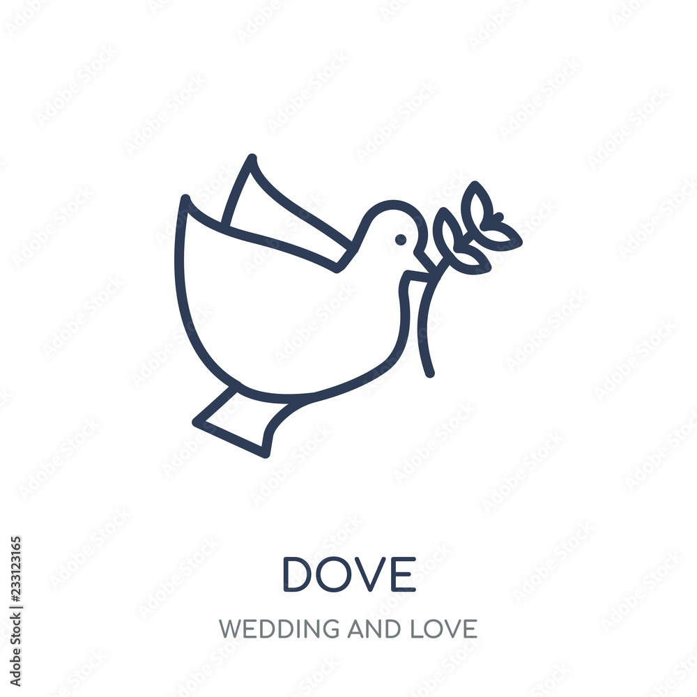 Dove icon. Dove linear symbol design from Wedding and love collection ...