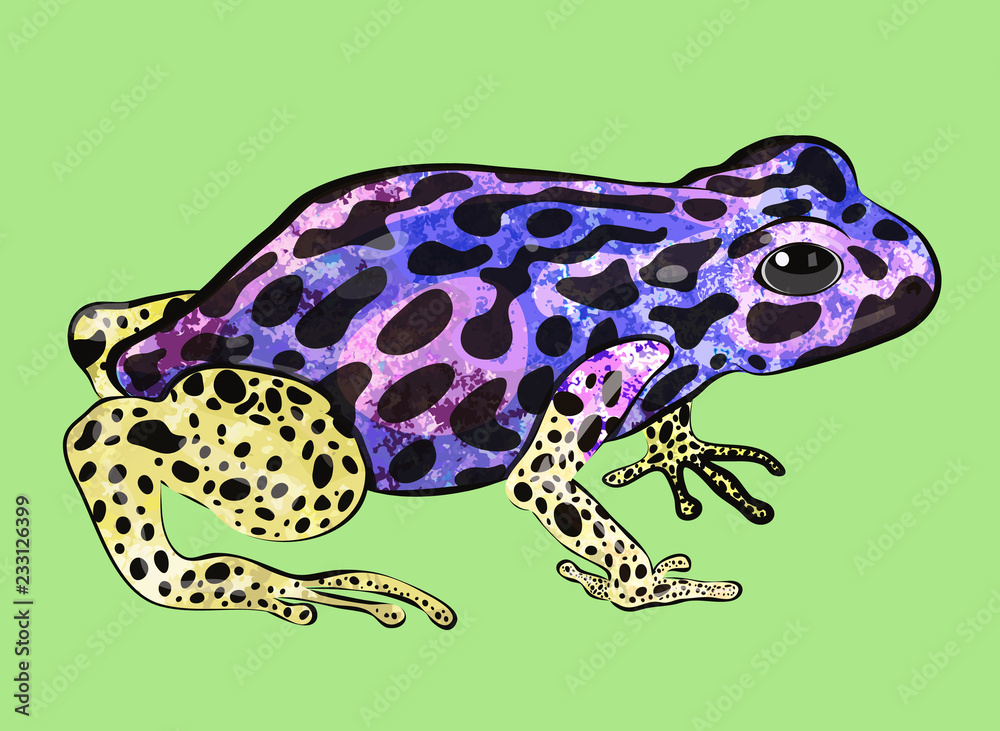 Poison dart frog with bright blue and yellow blemished texture skin ...