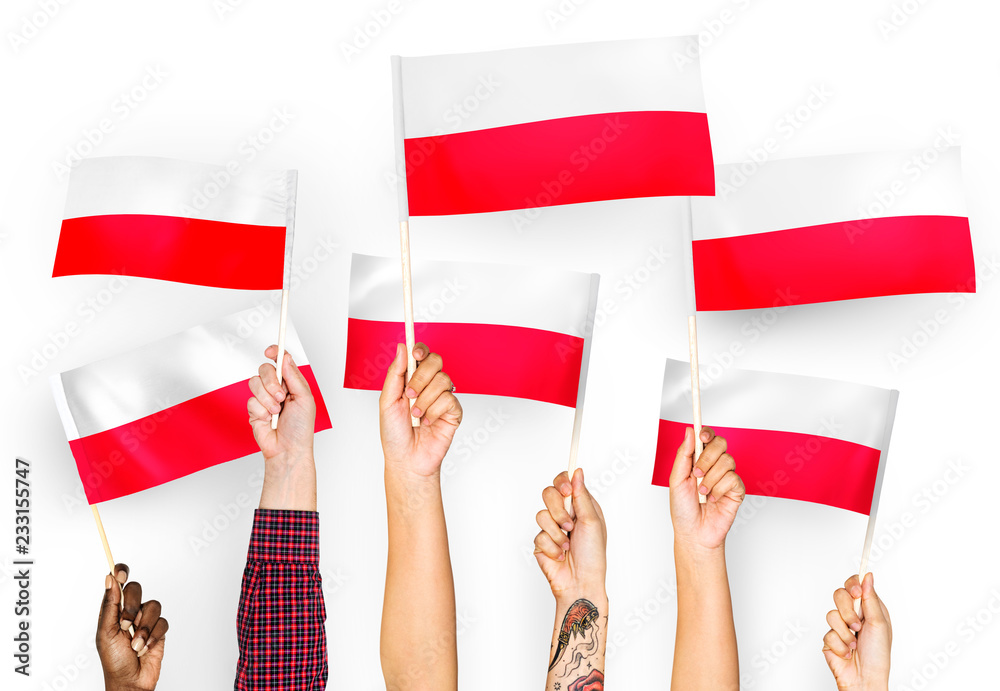 Hands waving the flags of Poland Stock Photo | Adobe Stock