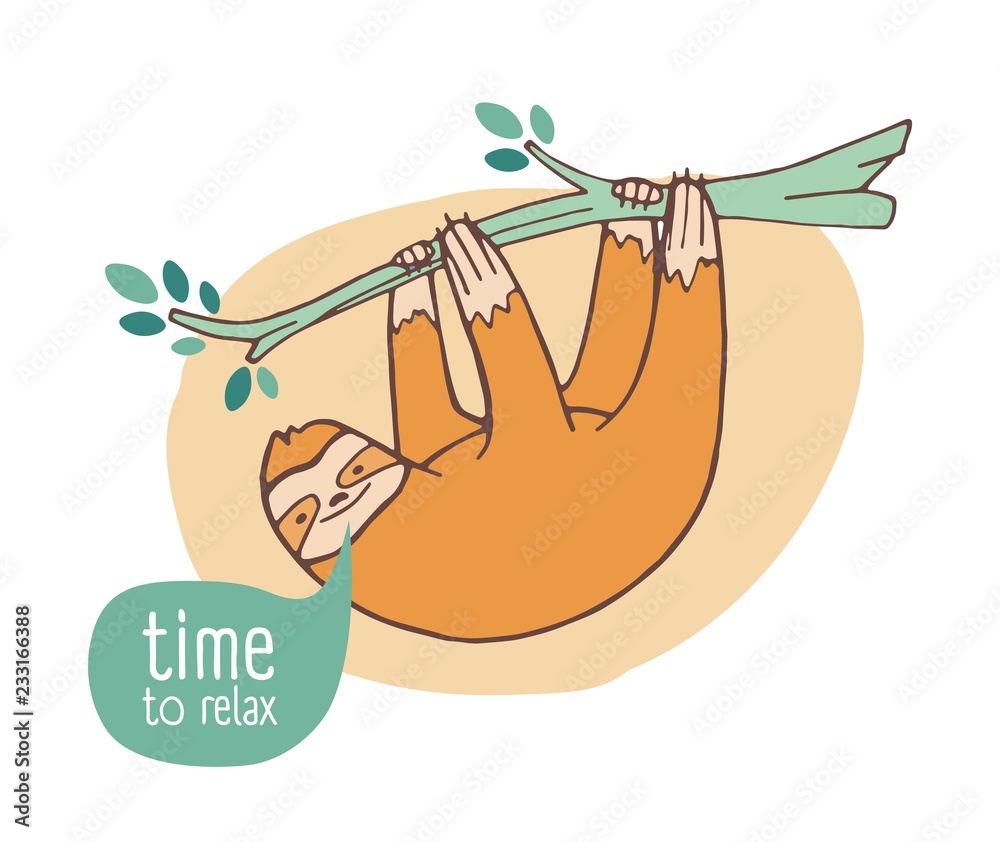 Funny happy sloth hanging from branch. Cute lazy wild exotic animal ...