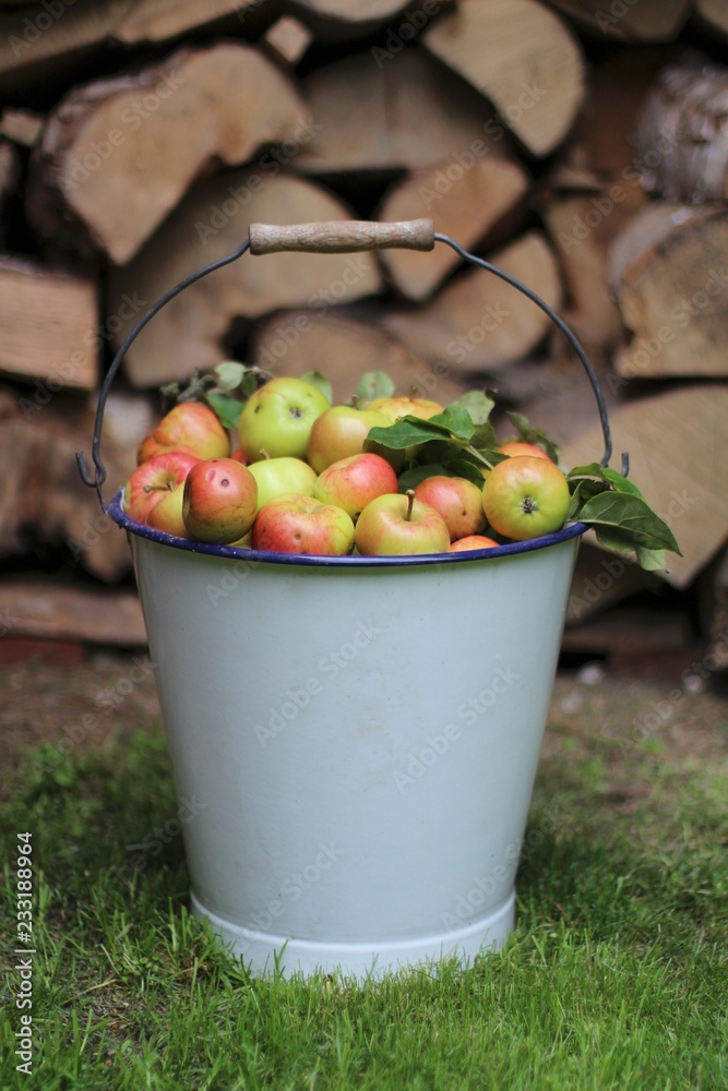 Small apples in an enamel bucket in front of a pile of wood in the ...