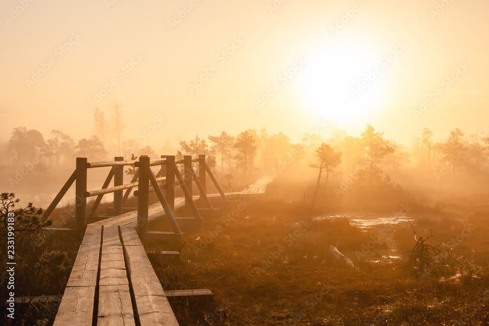 Warm sunrise at a swamp covered in fog. Sunshine beats through the ...