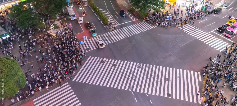 Pedestrians crosswalk at Shibuya district in Tokyo, Japan. Shibuya ...