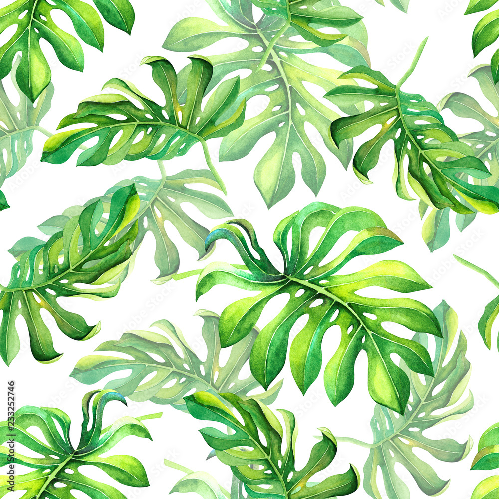 Tropical green leaves pattern isolated on white background. Seamless ...