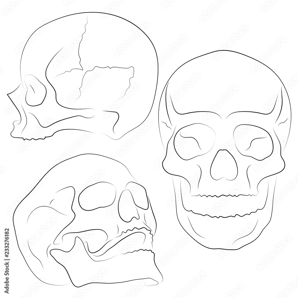 Skull Vector illustration, Collection Of Hand Drawn Skulls, Hard Core ...