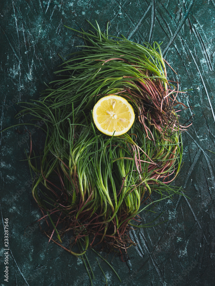 Raw agretti (barba di frate, Salsola soda) over green background to be ...