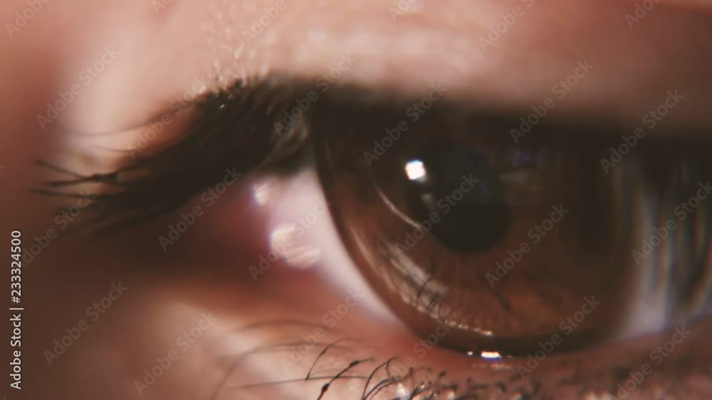 Three quarter front of a glittering brown female eye blinking fast and ...
