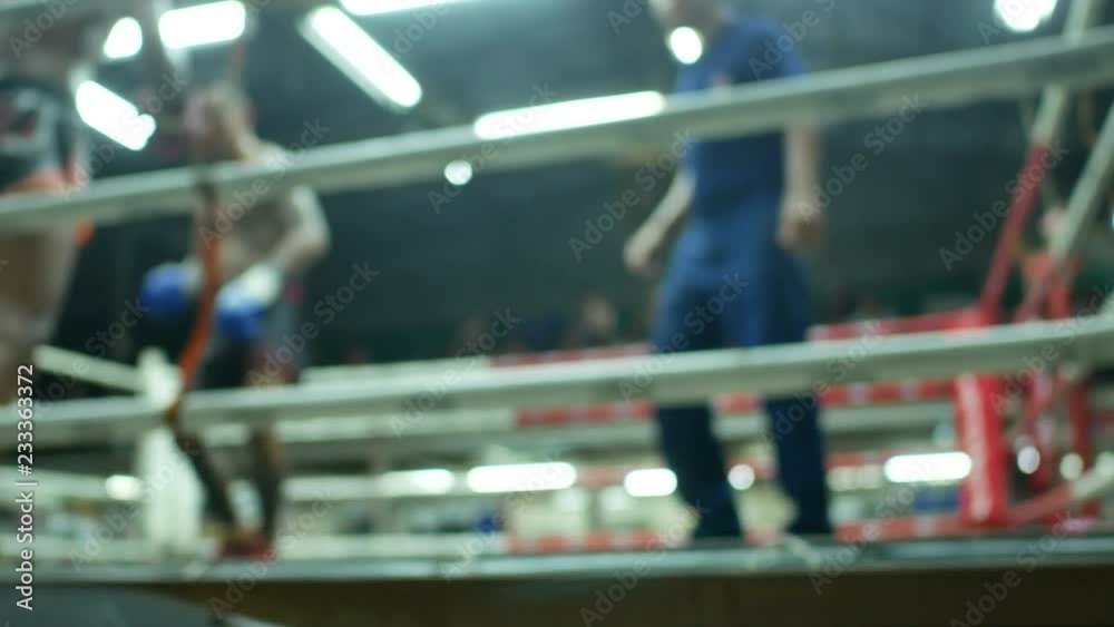 international style boxing asian boxer are punch on canvas boxing ...