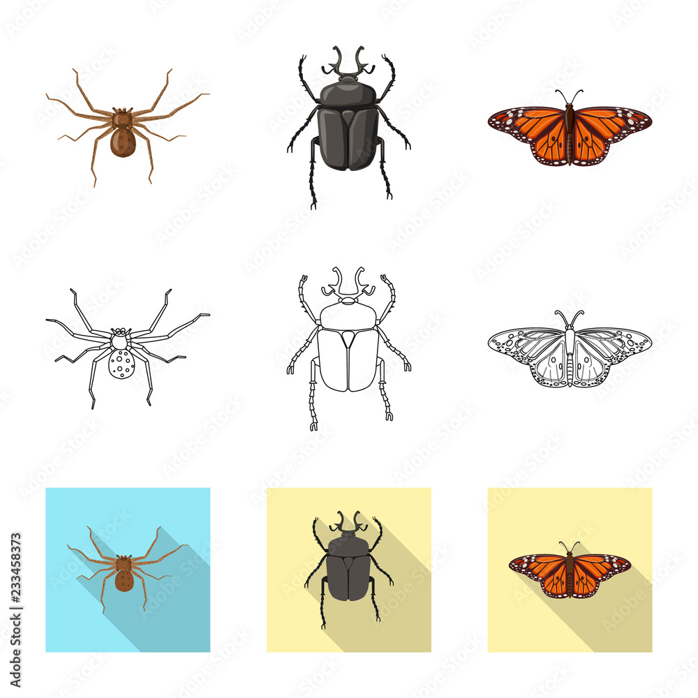 Isolated object of insect and fly sign. Set of insect and element stock ...