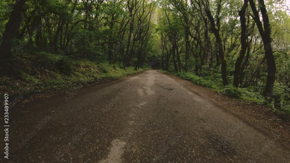 Running on an asphalt road in the forest is a first-person view with a ...