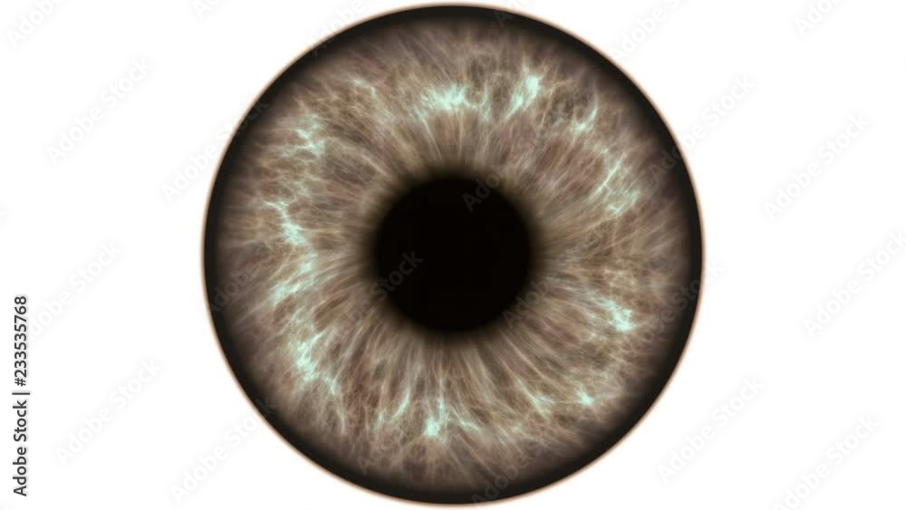 Brown human eye dilating and contracting. Very detailed extreme close ...